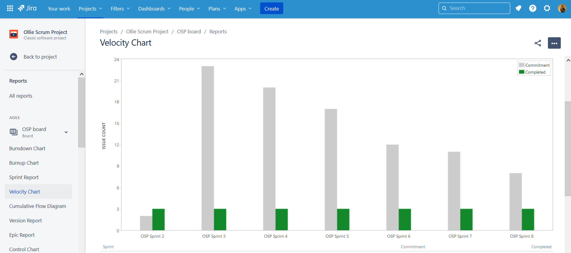 Velocity Report