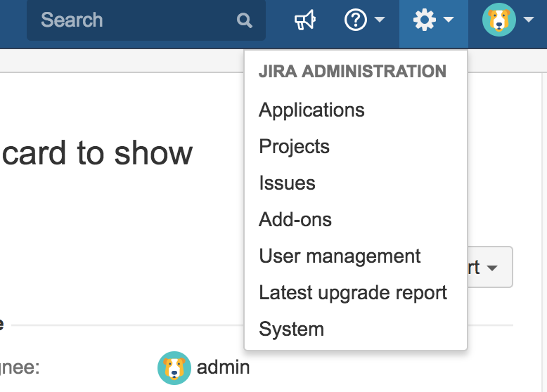 Unable to find the settings button for custom issu...
