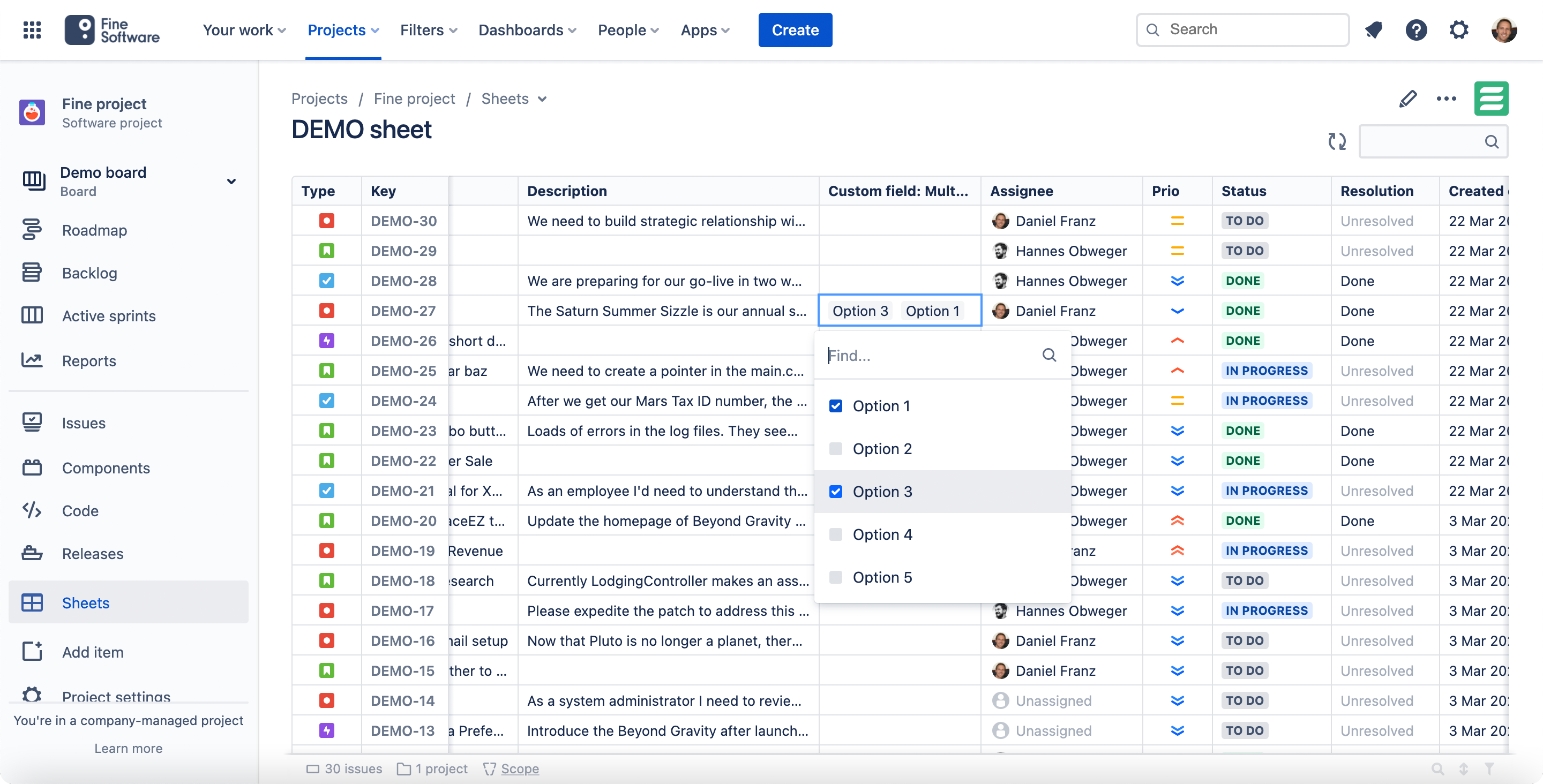 Solved: Can custom list fields be displayed in the project...