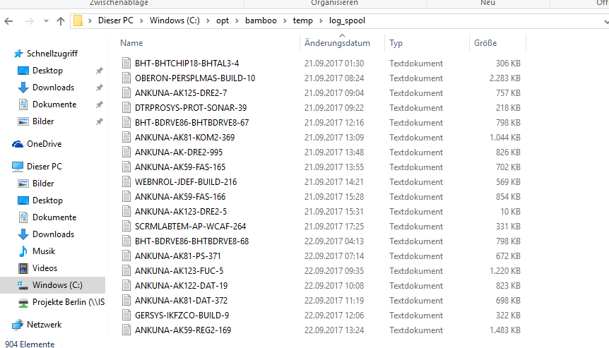 Bamboo Agent: How to configure \temp\l...