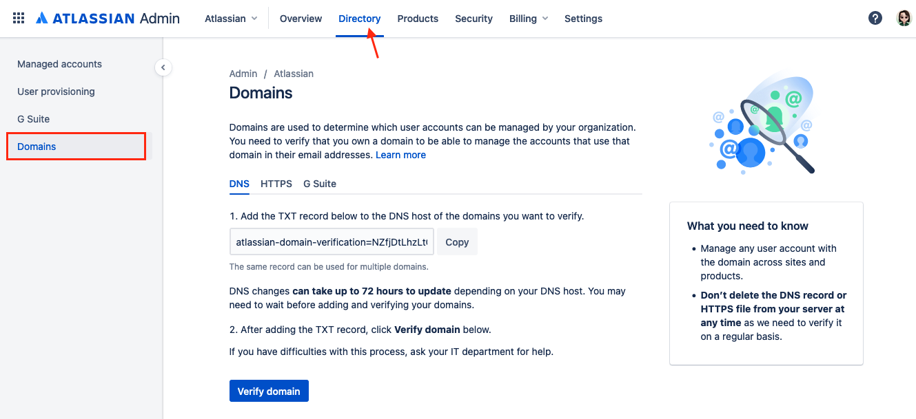 Solved: Domain Verify over DNS TXT - Not finding options a...