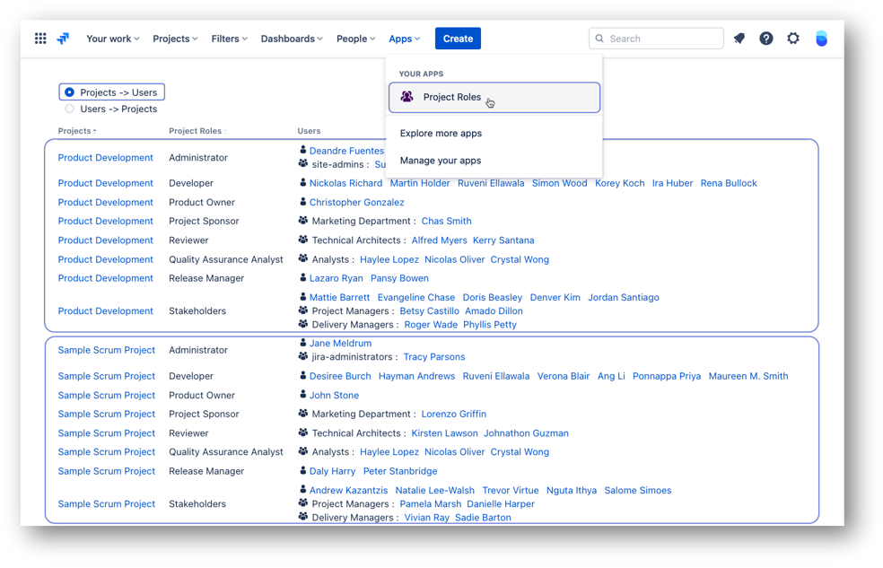 Getting a Full Picture of the Project Roles in Jir... - Atlassian Community