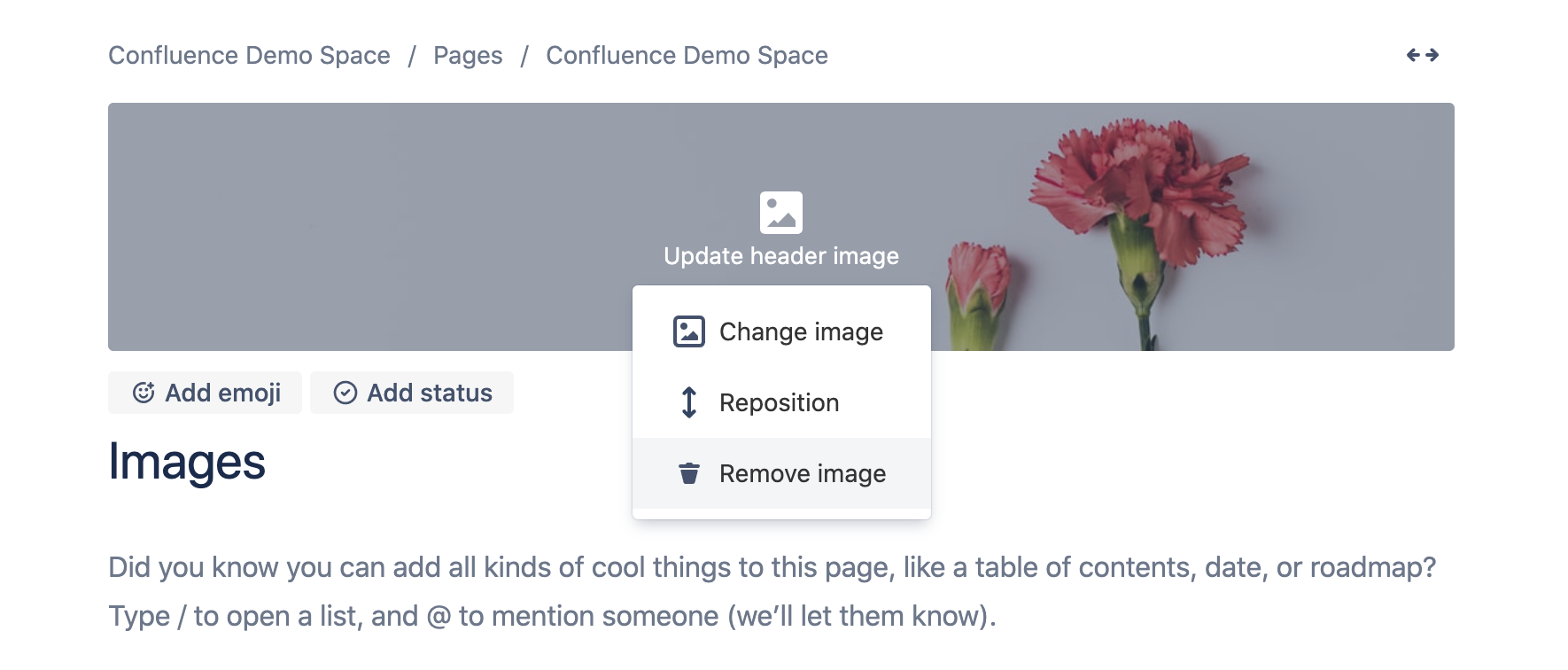 Expanding Header Image