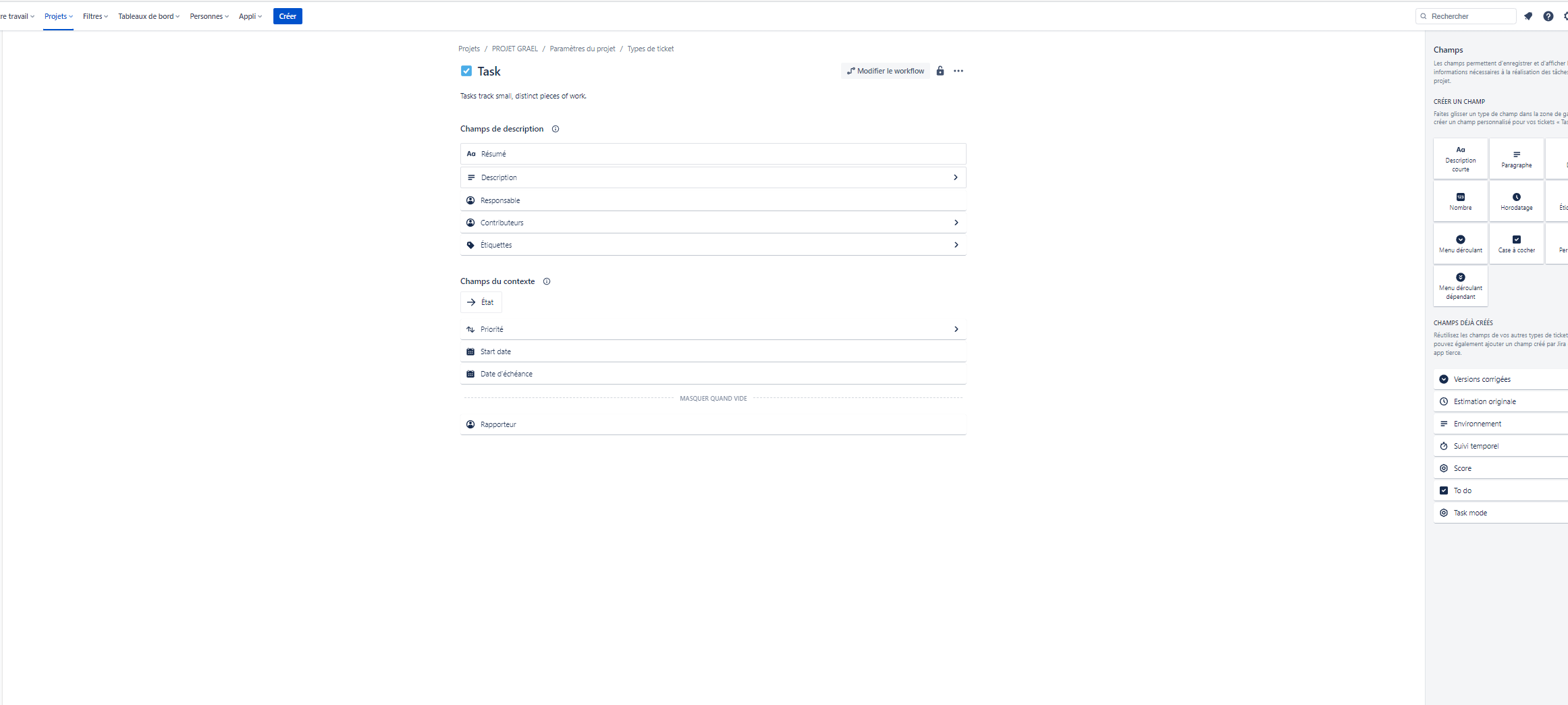 Add custom fields to issues