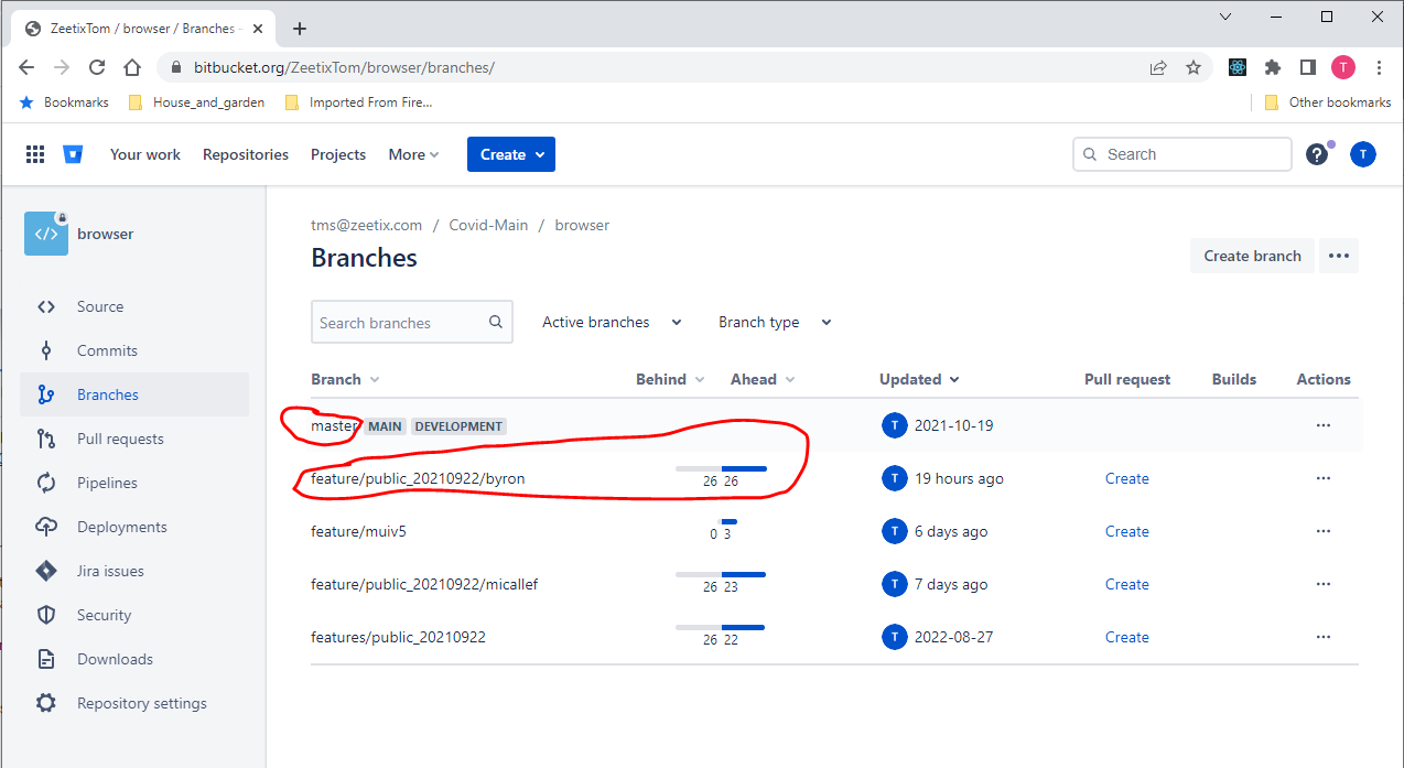 Solved: Branches view confuses me -- how do I fix it?