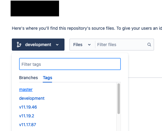 Bitbucket UI Displaying Certain Branches as Tags