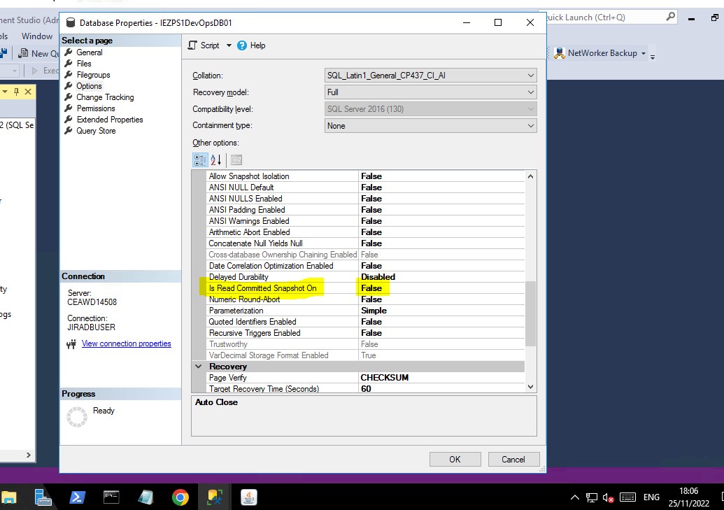 JIRA Health check shows DataBase errors but they a...