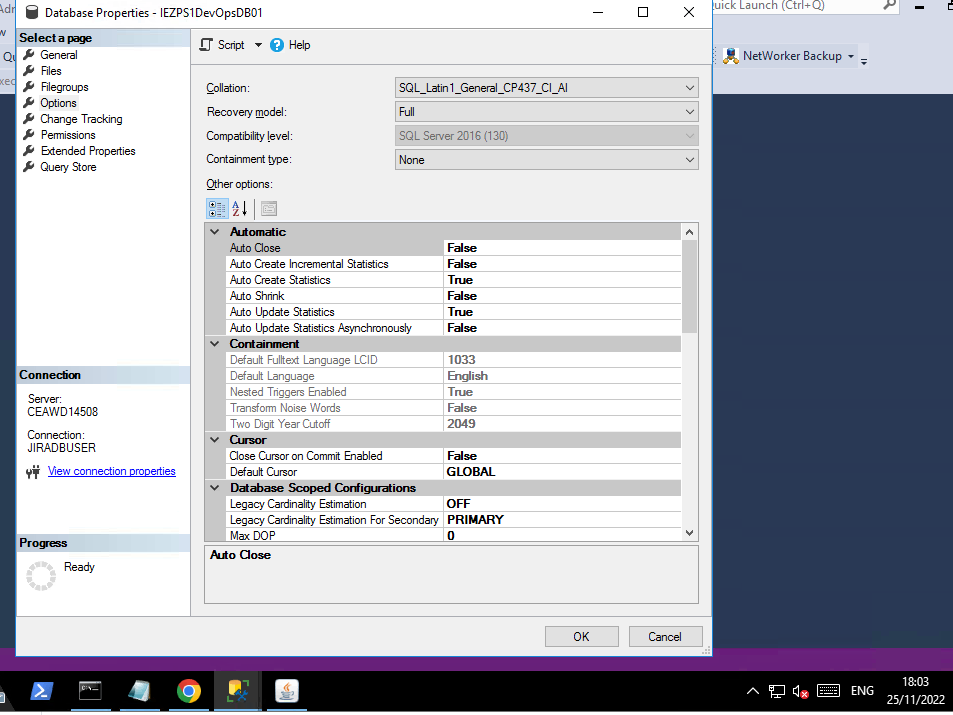 JIRA Health check shows DataBase errors but they a...