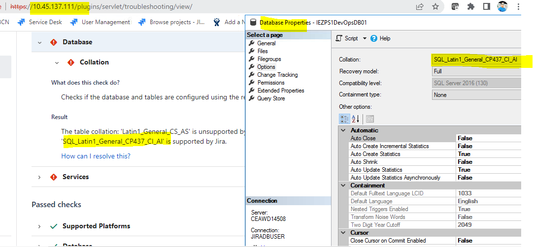 JIRA Health check shows DataBase errors but they a...