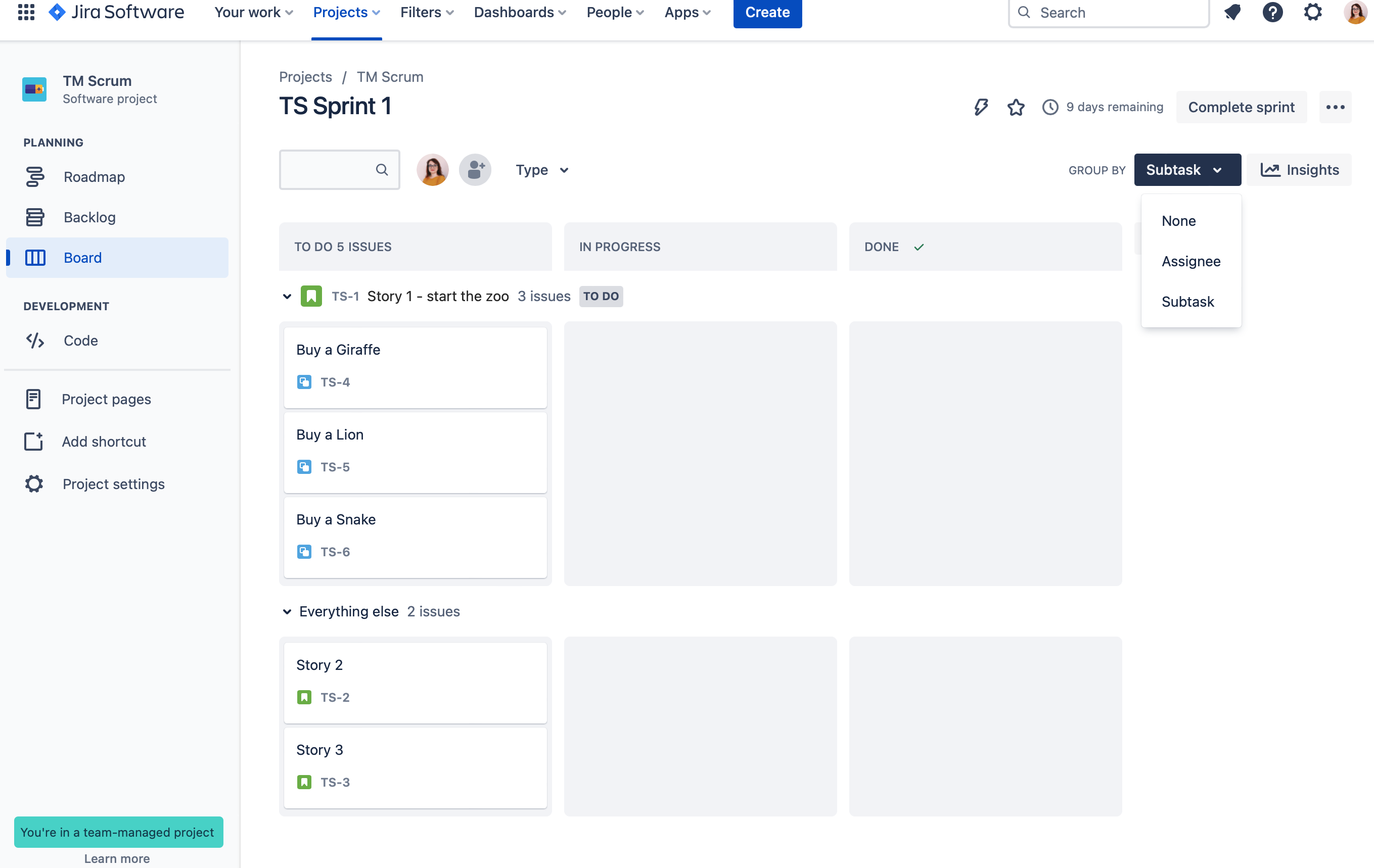 having issues creating issues on my mock project