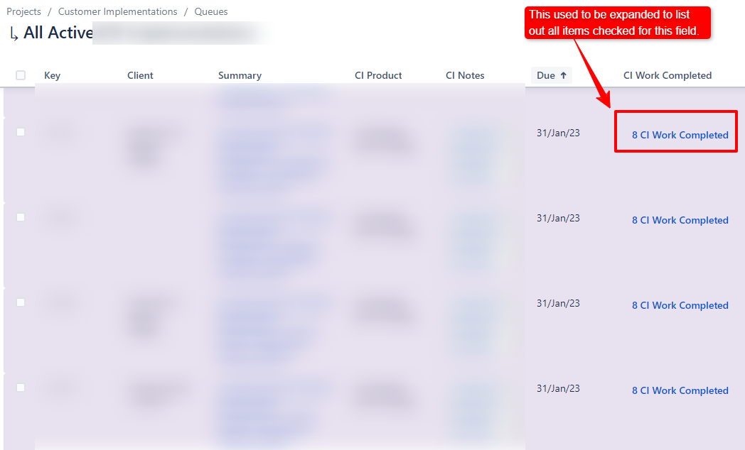 Custom Field, Checkboxes, Condenses in Queue View