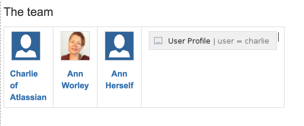 Solved: Displaying the user profile macros in-line.