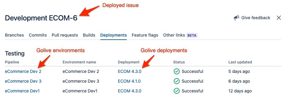 Jira & Golive: Test Environment Management