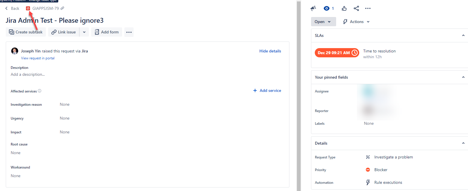 How to add "Issue Type" to issue main screen?