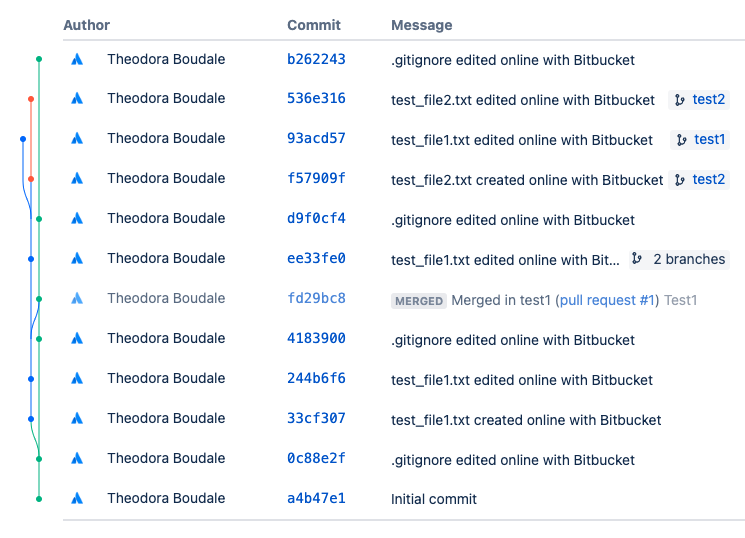 Solved: How to Interpret BitBucket Cloud Commits graph?