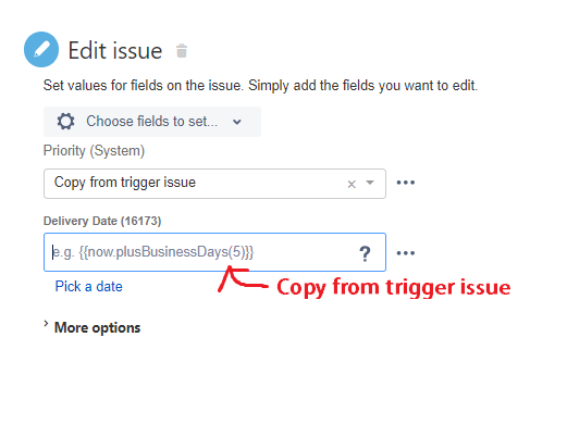 Solved: How to copy a custom field (Date Picker) from Stor...