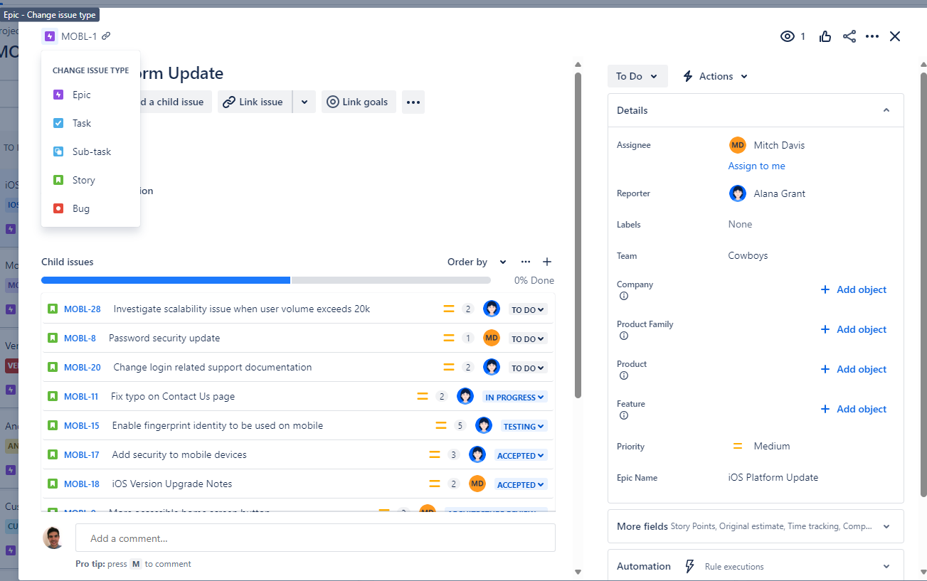 Solved: Jira Issue Type