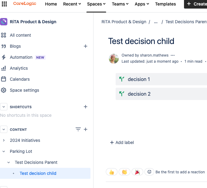 Decision report not showing any decisions