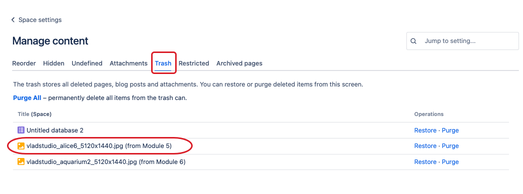How to delete a attachment from confluence page hi...