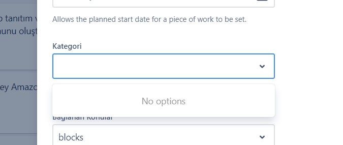 Solved: Categories don't show on creating a task