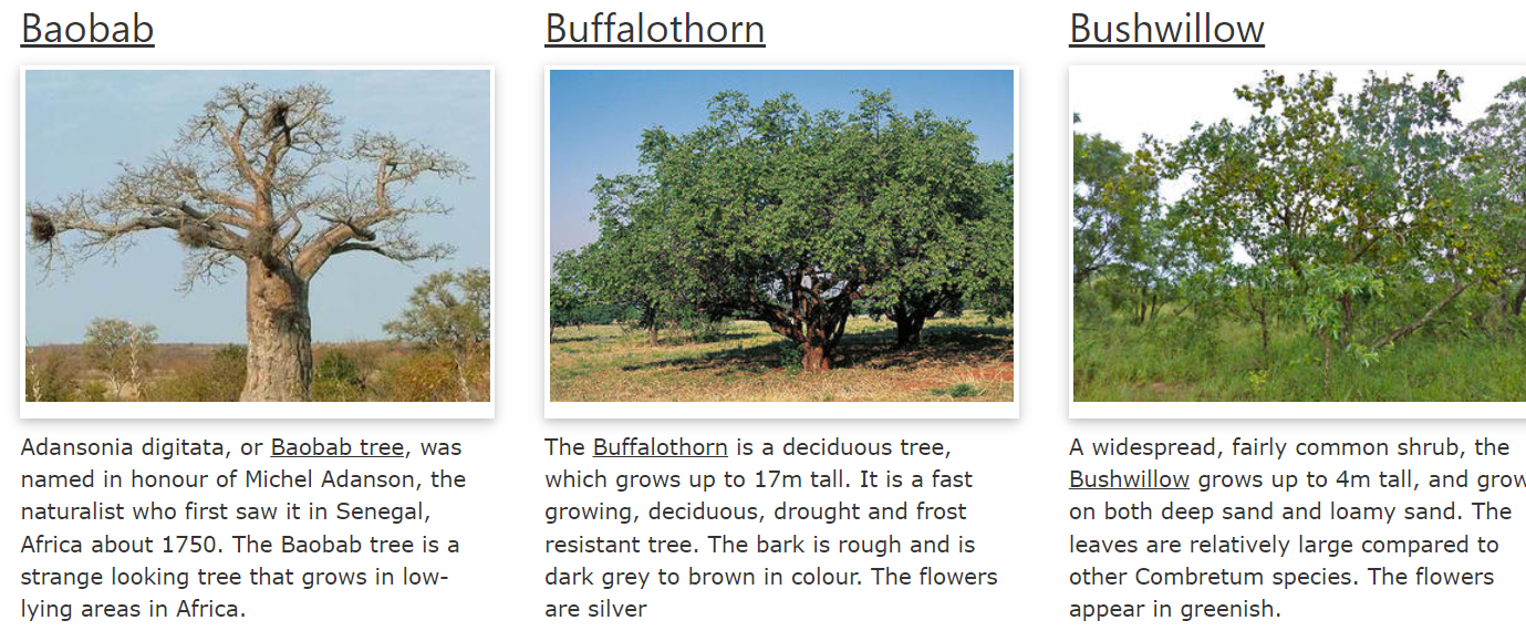 Trees for Life
