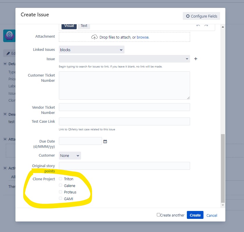 Clone issues based on check boxes selected