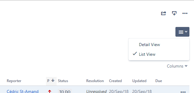 Solved: Issues table view