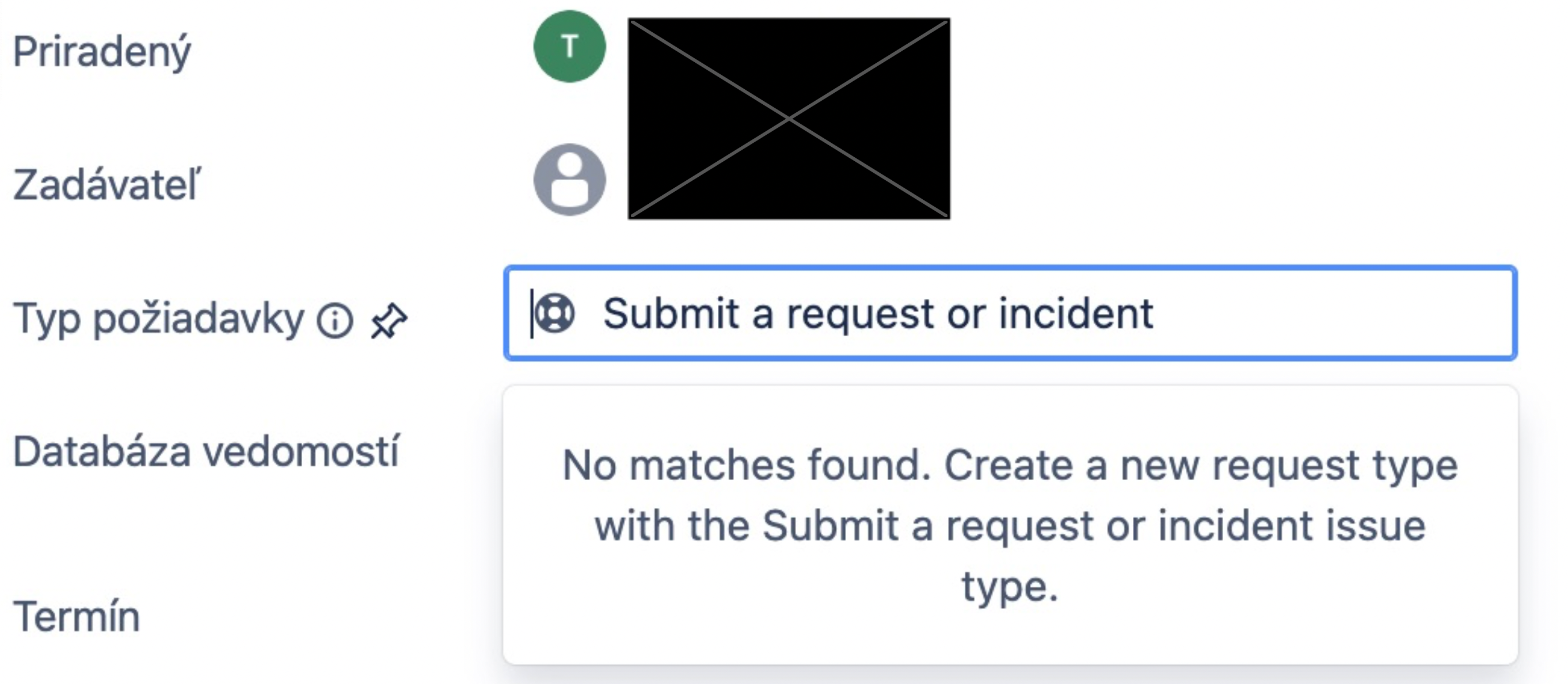 Issues cannot be seen on Costumer Portal probably ...