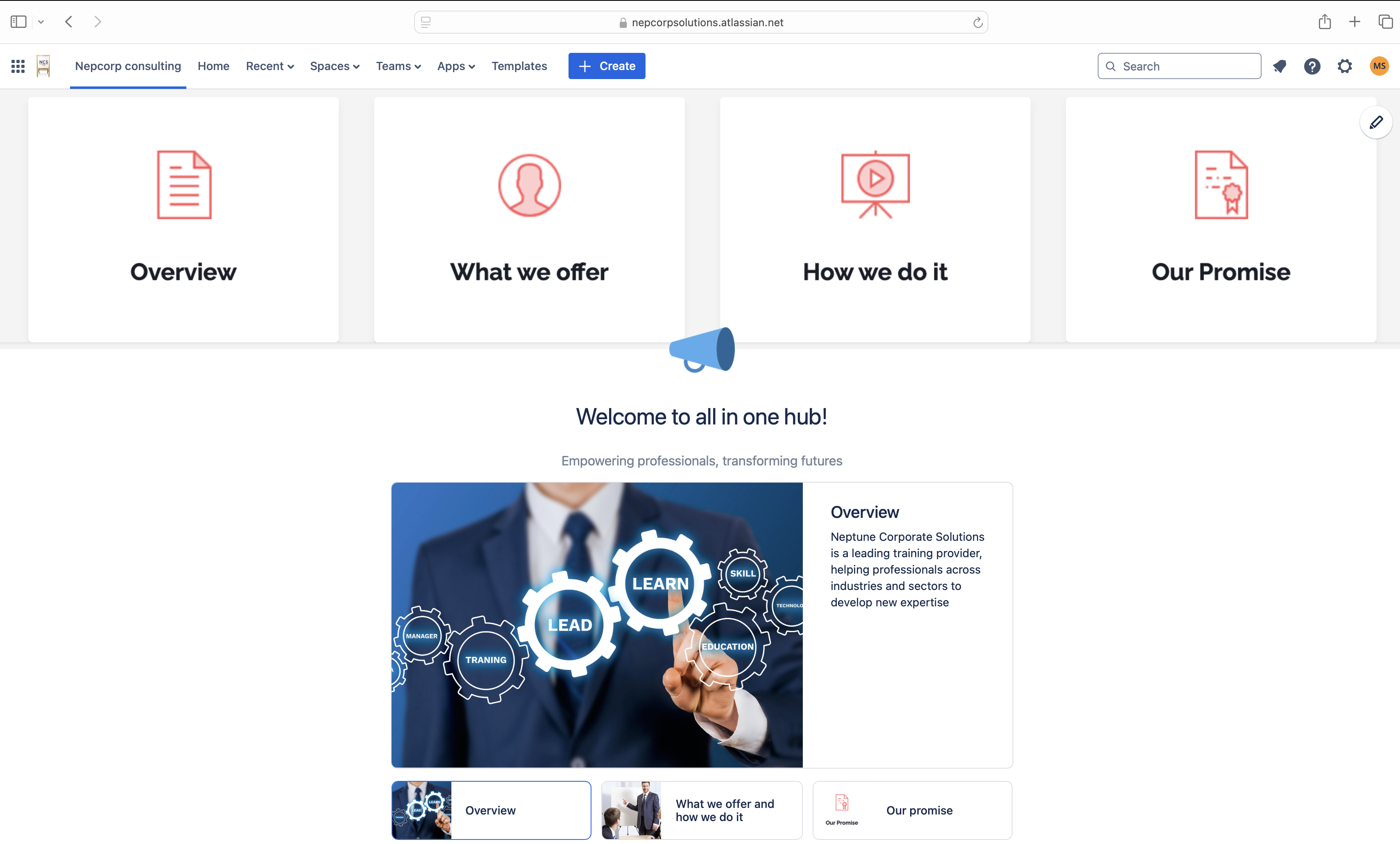 Nepcorp's Confluence company hub