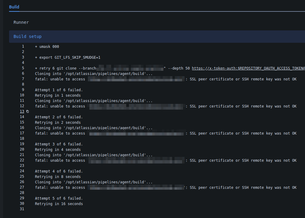 Add SSL cert to runner before `Build setup` step