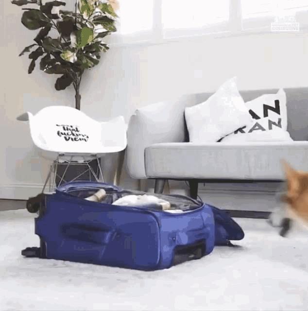 Elements Checklist is Not Working In Jira 10? Migr...