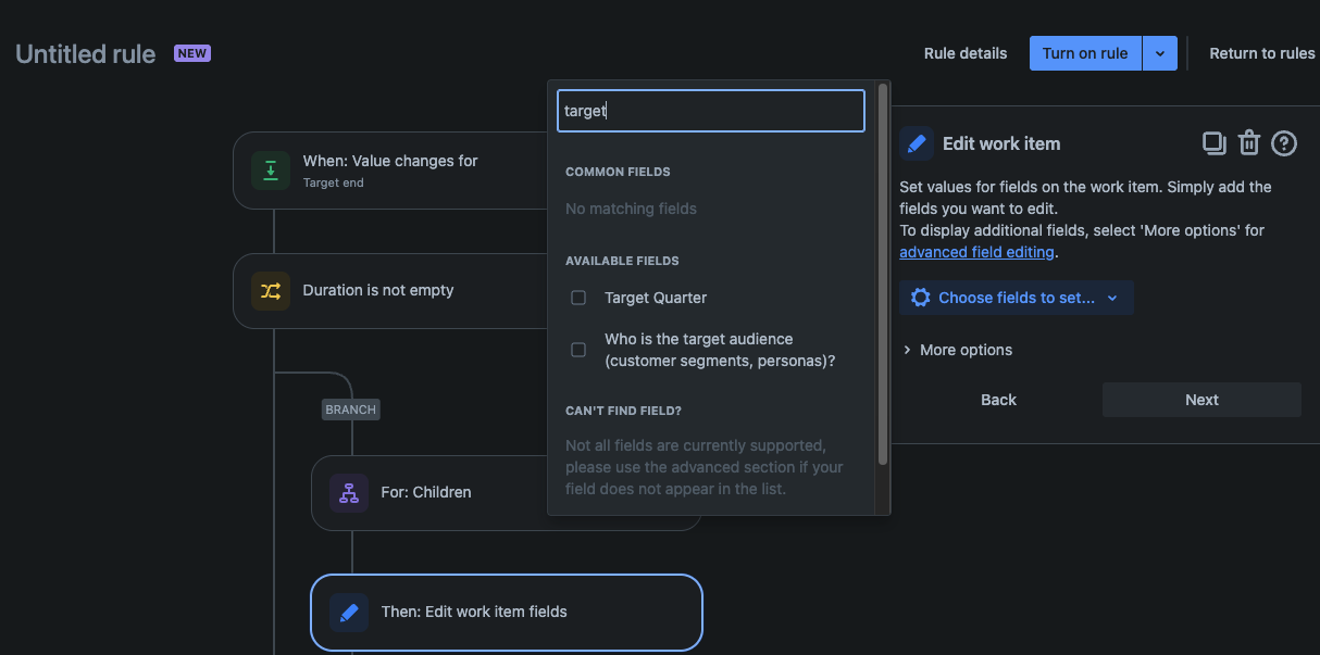 Solved: How to use custom fields when "editing work item"