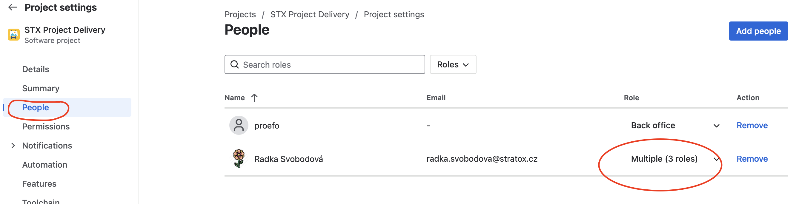 Only I cannot delete issues in Jira