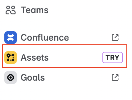 New “Assets” Feature in JSM