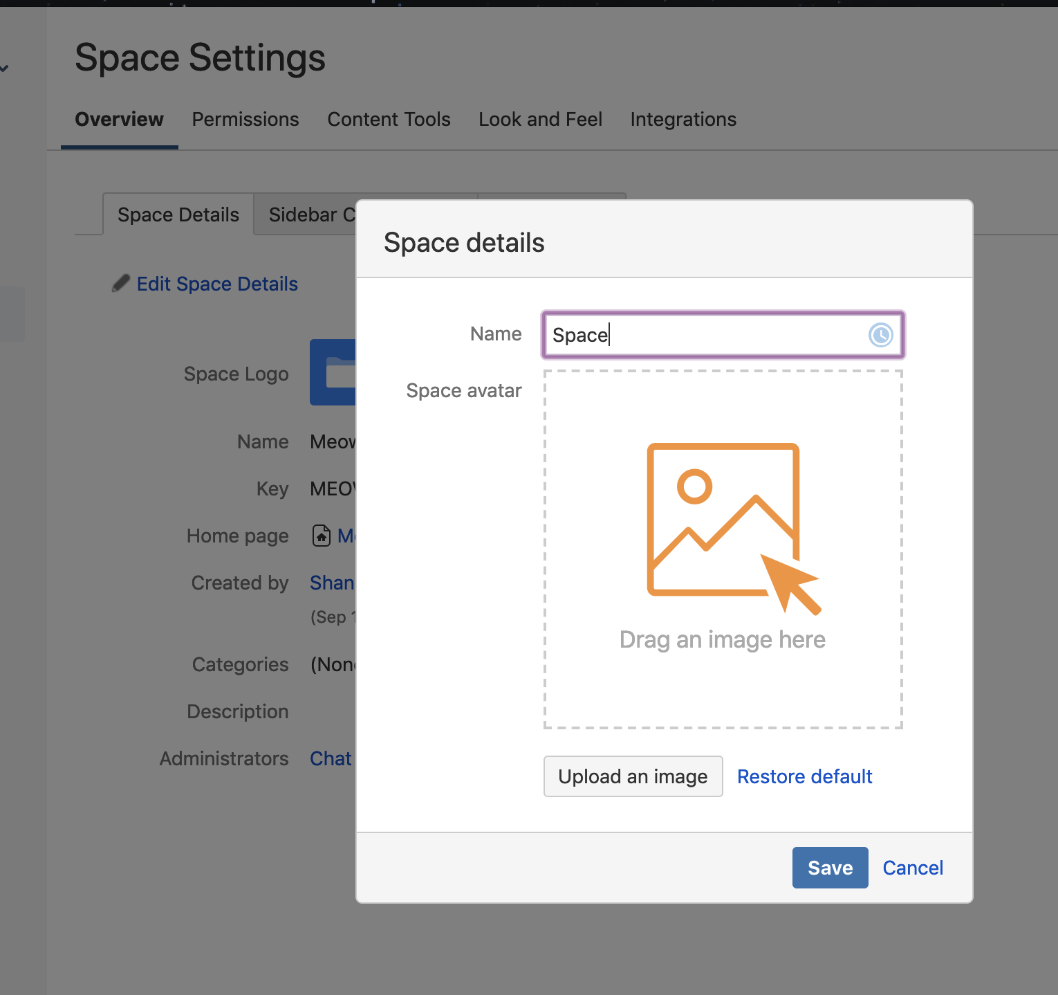 Confluence Space Logo Edit