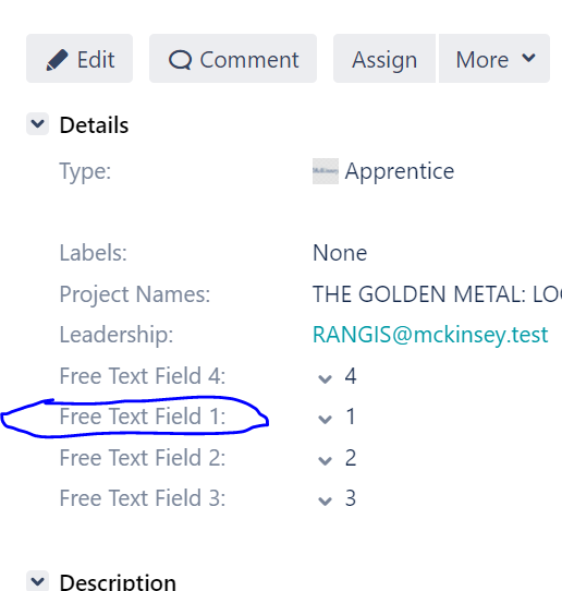 Solved: Scriptrunner behavior to set the display name(labe...