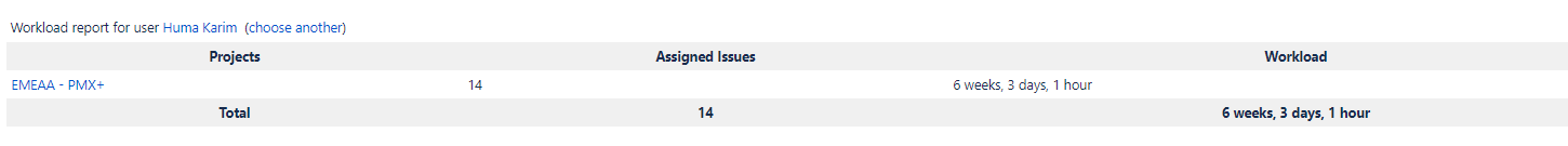 Not all projects showing on user workload report