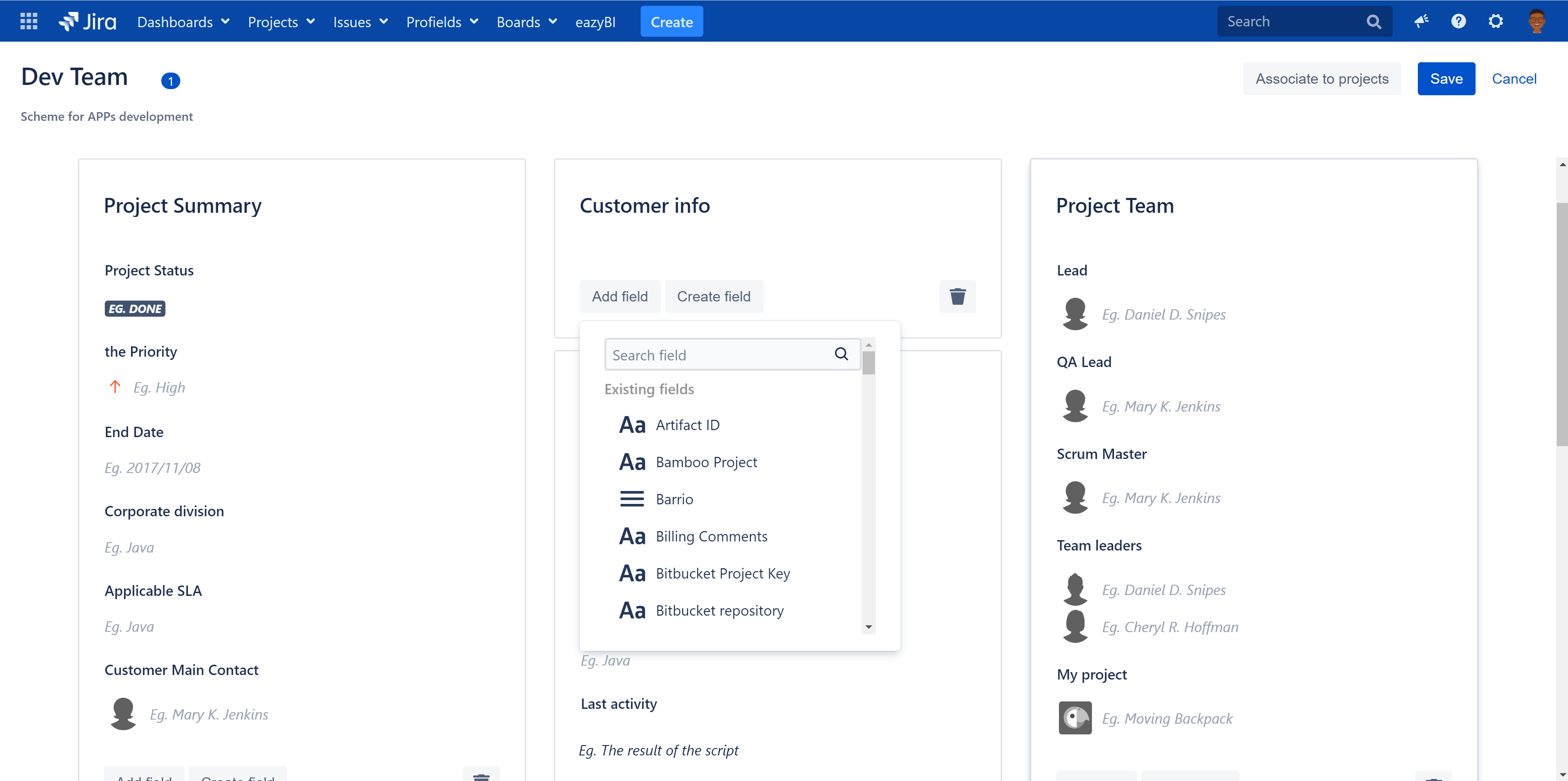 How to get jira custom project properties?