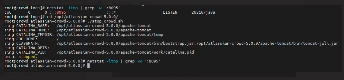 Crowd is not starting in browser