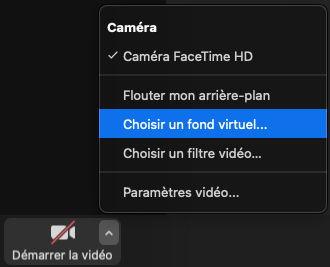 Nouveaux fonds Zoom 🖼 - Atlassian Community