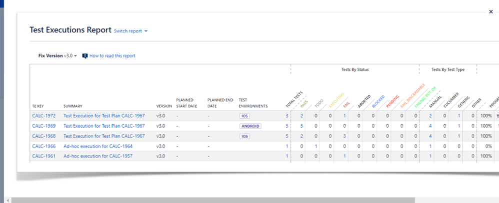 JIRA Report