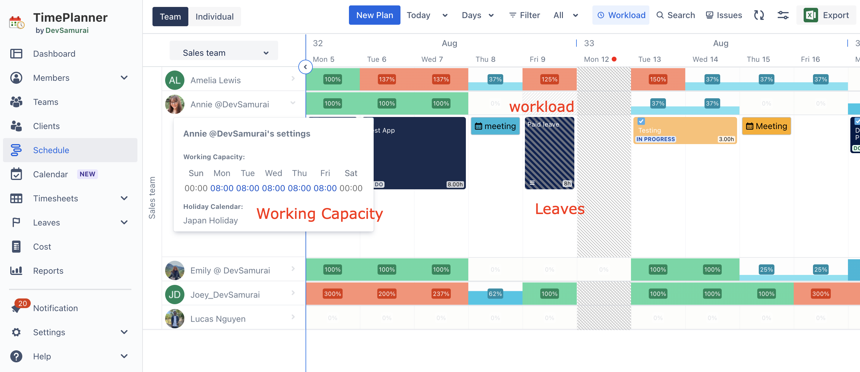 How Can I Effectively Plan Team Capacity Based On