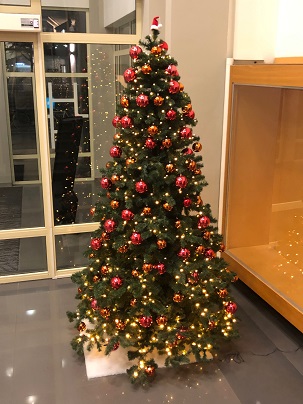 Just for Fun: Christmas Tree Bonanza!! 🎄